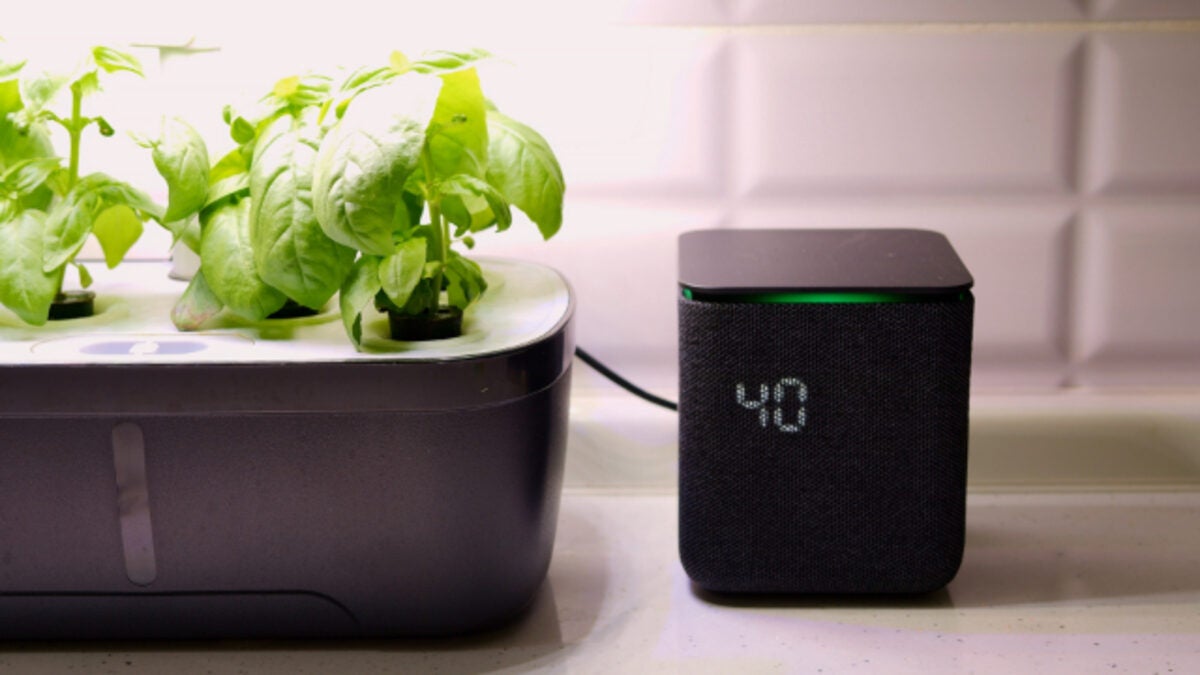 Best Indoor Hydroponic Gardens: AeroGarden vs. Click & Grow Cost ...